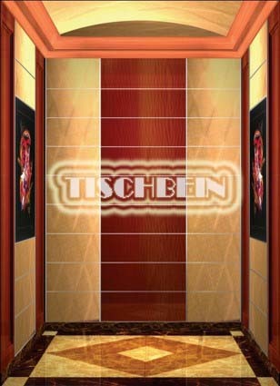 Quality 1.75m/S Residential Passenger Elevator 800kg 1000kg Traction Panoramic Elevator For Shopping Mall for sale