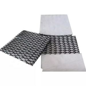 Quality density Polyethylene Plastic Certification Geocomposite Drainage GEONET for for sale
