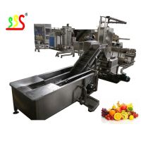 Quality Small And Medium Fruit Production Line For University for sale
