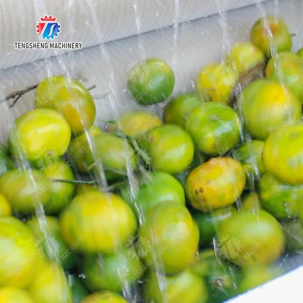 Quality Citrus cleaning production line Fruit Orange Wash Washer Washing Cleaning Dryer for sale