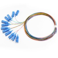 Quality 12 Cores 1M Optical Fiber Pigtail SC/UPC For Telecommunication for sale
