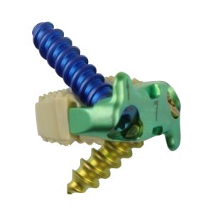 Quality Sterilization 2 Screws Zero Profile Cage Anterior Cervical Cage Stand Alone CE for sale