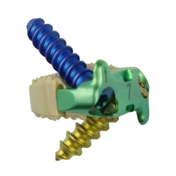 Quality Sterilization 2 Screws Zero Profile Cage Anterior Cervical Cage Stand Alone CE Spinal Surgery for sale