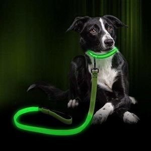Quality Customized Color LED Dog Leash , Glow In The Dark Dog Leash Light Up At Night for sale