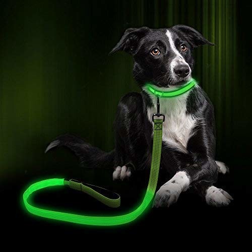 Quality Customized Color LED Dog Leash , Glow In The Dark Dog Leash Light Up At Night for sale