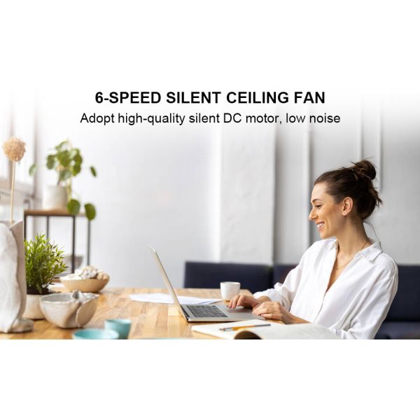 Quality Smart White Ceiling Fan With 6 Adjustable Speeds and Voice Control for sale