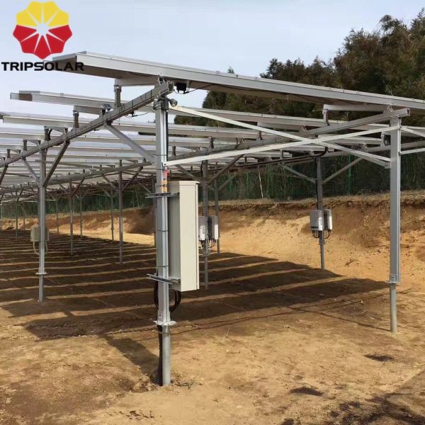 Quality Anodized PV Solar Panel Installation Ground Mounting System for Maximum for sale