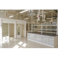 Quality All-steel walk-in ventilation cabinet for sale