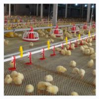 Quality Chicken Coop Automatic Poultry Farm Equipment With Ventilation System for sale