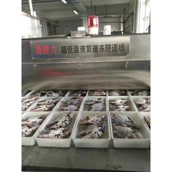 Quality 800KG/Hour 1000kgs/Hour Liquid Nitrogen Tunnel Freezer Quick Freezing Machine for sale