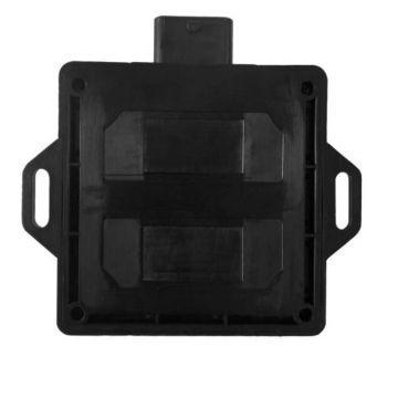 Quality Custom CNG LPG Electronic Control Unit In Car With 48 Pin Connector for sale