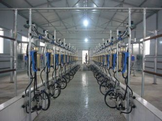China Factory - Chuangpu Animal Husbandry Technology (Suzhou) Co., Ltd.