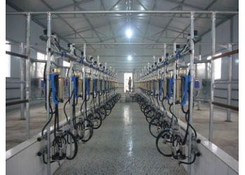 China Factory - Chuangpu Animal Husbandry Technology (Suzhou) Co., Ltd.