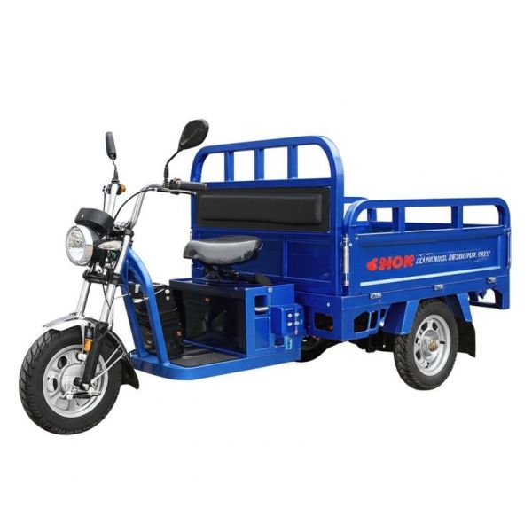Quality Brushless Motor Electric Cargo Tricycle Featuring Lithium ion Battery and 450 10 Vacuum Tyre Designed for Cargo Delivery for sale
