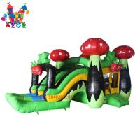 Quality Commercial Inflatable Bouncer Slider Combo Adult Cartoon Princess Bounce House for sale