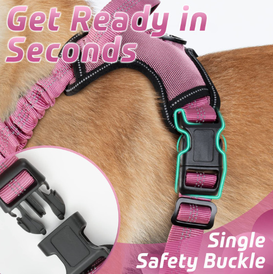 best harness for puppy training