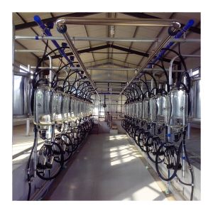 Quality Dairy Farm Goat Cow Herringbone Milking Parlor Glass Bottle Metering System for sale