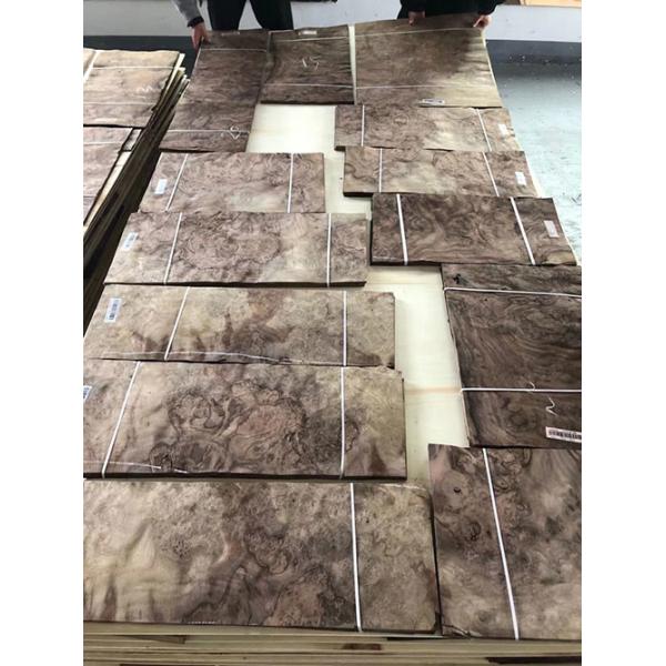 Quality 8% Moisture American Black Walnut Veneer for sale