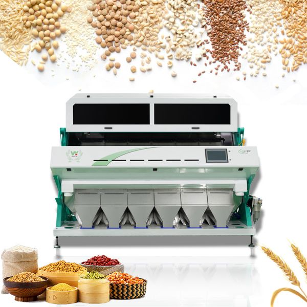 Quality 5400 Pixel High Accuracy CCD Rosehip Cherry Beans Sorting Machine Wifi Remote for sale