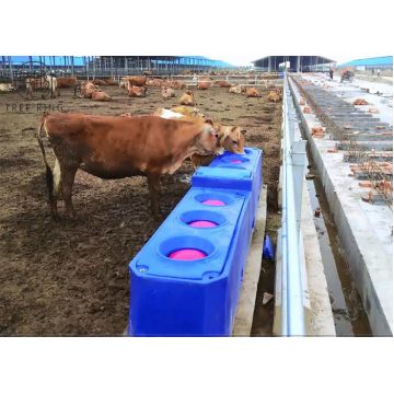 Quality Contiuous Flow Automatic Plastic Cattle Drinking Troughs For Drinking Trough for sale