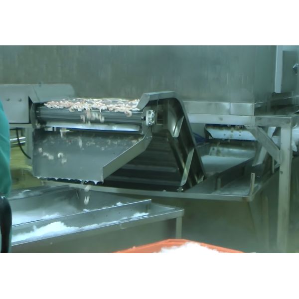 Quality ISO 2.23KW Commercial Fish Processing Machine , Anti Corrosion Shrimp Cooked for sale