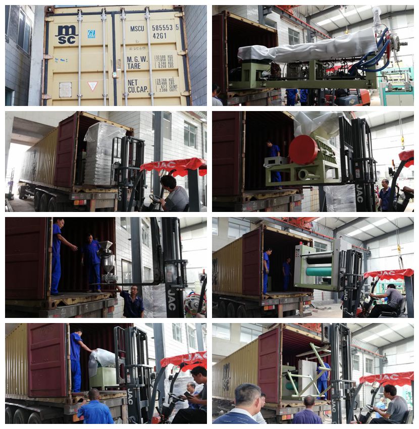 automatic disposable Biodegradable sugarcane paper pulp food box making machine