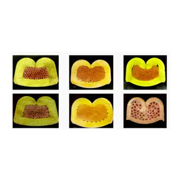 Quality Bench Top Test Crimping Terminal Cross Section Analyzer Machine for sale