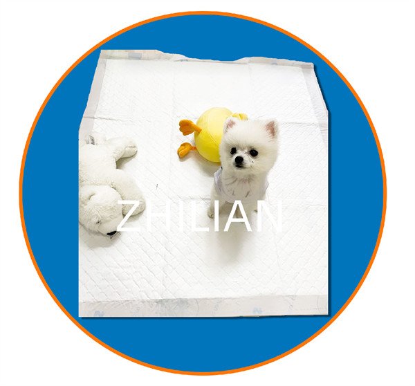 Quality 900mm Pet Pad Machine 300 m/min Dog Pad Machine for sale