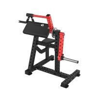 Quality Biceps & Triceps Extension Machine for Bodybuilding Fitness for sale
