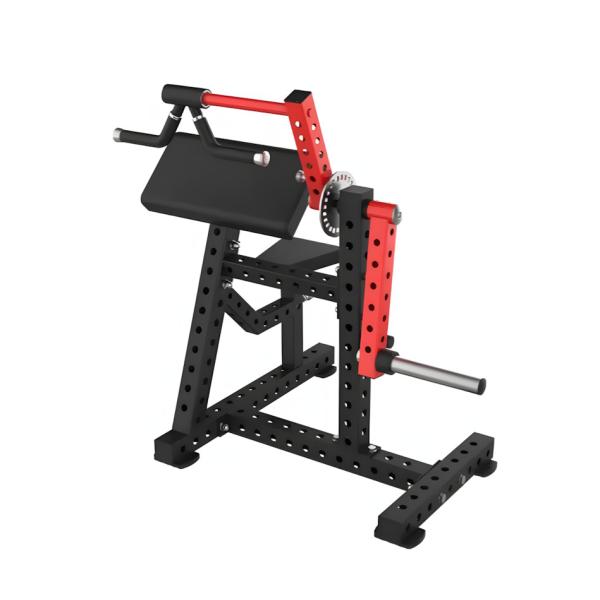 Quality Biceps & Triceps Extension Machine for Bodybuilding Fitness for sale