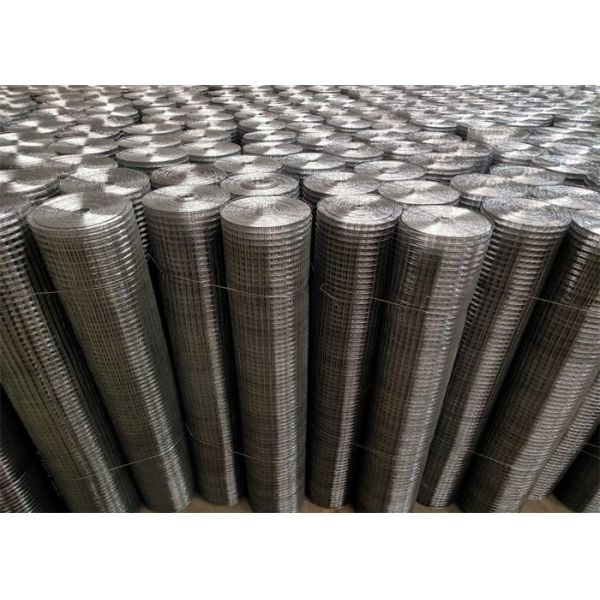Quality 1/4in Metal Mesh Fence Welded Wire Mesh Rolls 23 Gauge Hardware Cloth For for sale