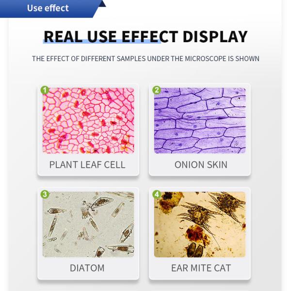 Quality 1600x Magnification Professional Triocular Microscope for HD Medical and for sale