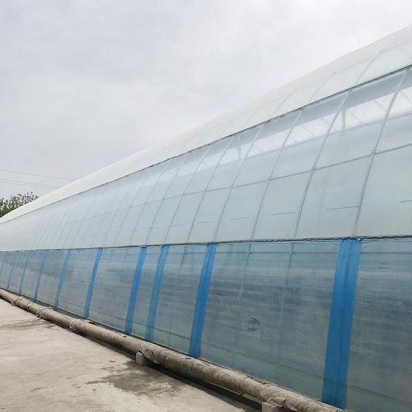 Quality Multi-Span Agricultural Greenhouses Advanced Hydroponic Growing System for for sale