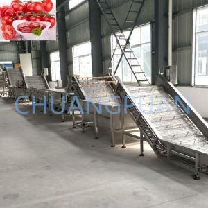 Quality High Capacity 2-60T/H Tomato Sauce Processing Line Bubble Wash for sale