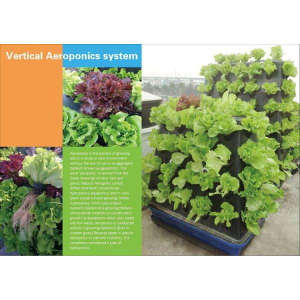 Quality Commercial Aeroponics Hydroponic System For Greenhouse Vegetables Growing for sale