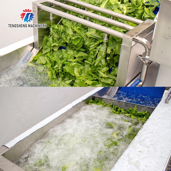 Quality 380V Integrating Spinach Washing Machine , Blasting Isolating Potato Cleaning for sale