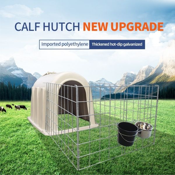 Quality Long Service Life 3-6 monthes Calf Hutches With Hot - Galvanized Steel Pipe Fence for sale