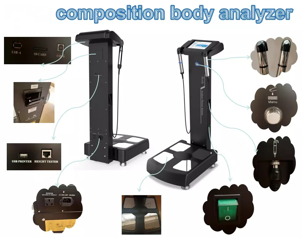 Vertical body scan analyzer BMI Body Mass Index Weighing Machine from ...