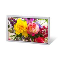 Quality Industrial Application NLT 12.1" TFT LCD Panel Module NLB121SV01L-01 for sale