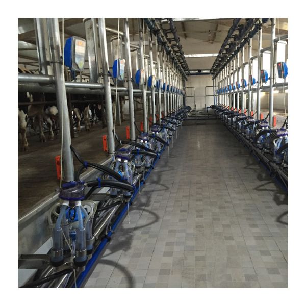 Quality High Efficiency 4KW Herringbone Milking Parlor Cow Milk Suction Machine for sale