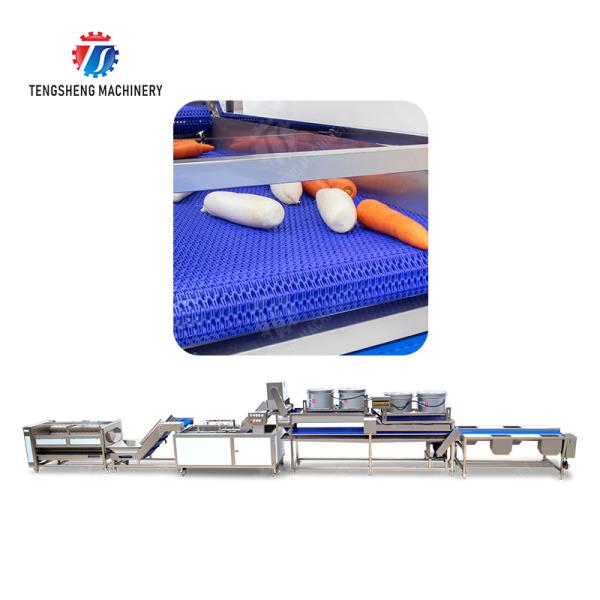 Quality Enhance Your Production with Our State-of-the-Art Fruit And Vegetable Processing for sale