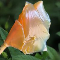 Quality Composite Anhydrous Calcium Sulfonate Grease The Top Choice for Industrial for sale