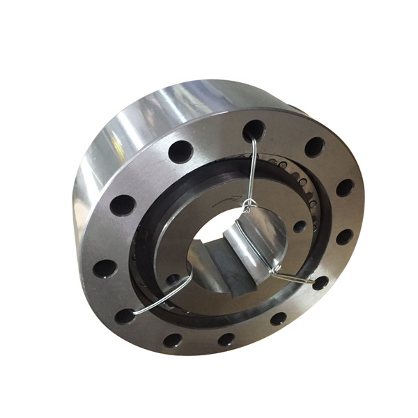 Quality RSCI Sprag Freewheel One Way Pump Overrunning Clutch Bearing for sale