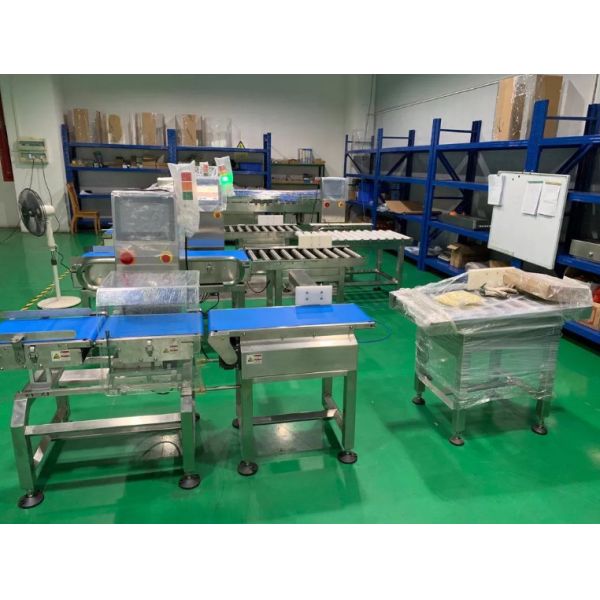 Quality Biscuit Package In Line Checkweigher Conveyor With Rejector SUS304 Material for sale