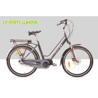 Quality 36V 250W City Mid Motor Electric Bike EN15194 25km/H Disc Brake For Front for sale