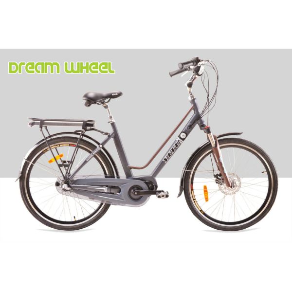 Quality 250W 36V Urban City Electric Bike 7.8Ah Samsung Cells for sale