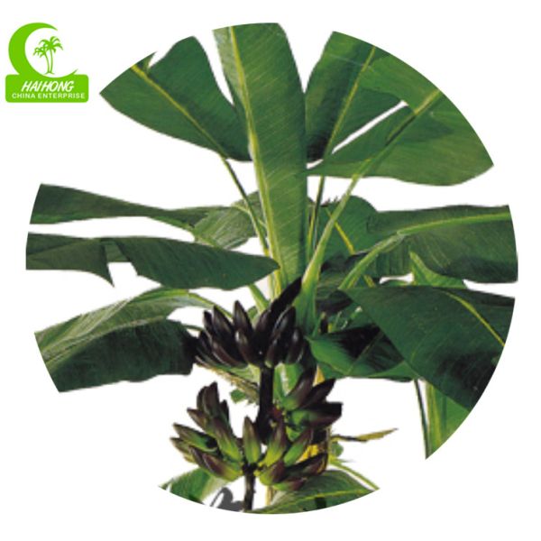 Quality No Nursing 250cm High Artificial Tropical Tree For Shopping Center for sale
