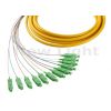 china 1 Meter Fiber Optic Jumper Cables SM Simplex SC APC 12 Core Fanout Fiber Optic
