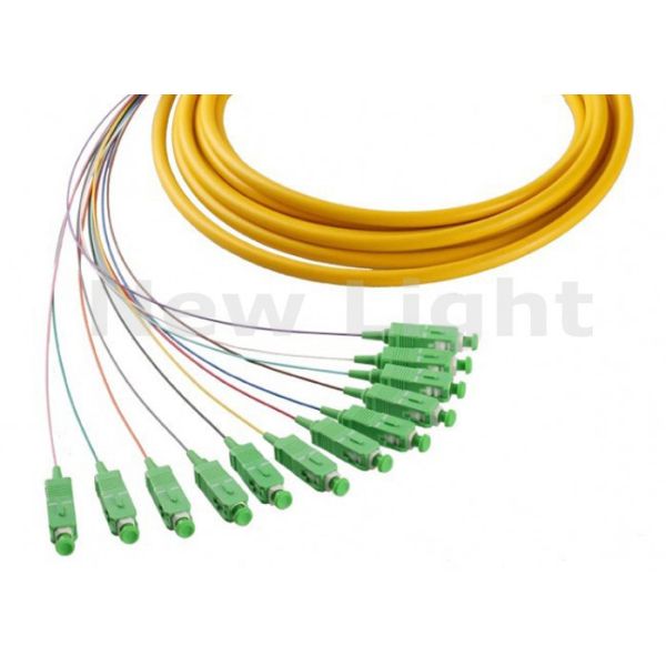 Quality 1 Meter Single Mode SC APC 12 Core Fiber Optic Pigtail for High-Speed Data for sale