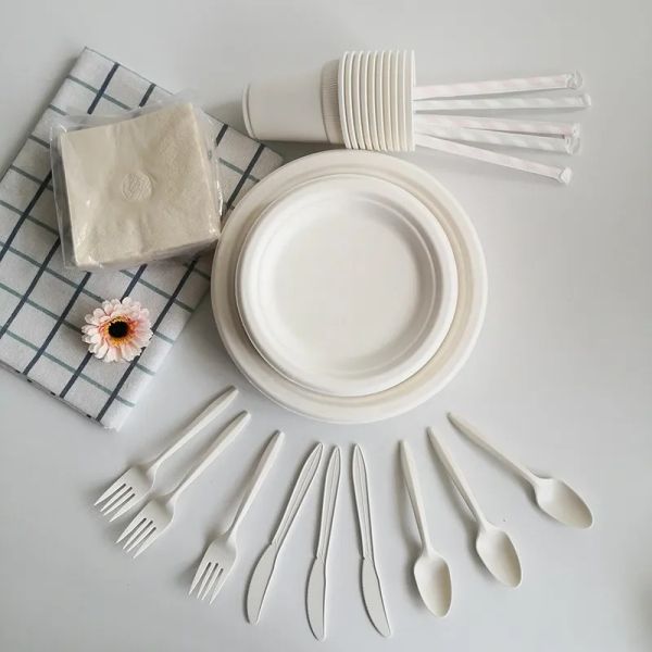 Quality Eco Sustainable Compostable Disposable Plates Cutlery Disposable Take Out Food for sale